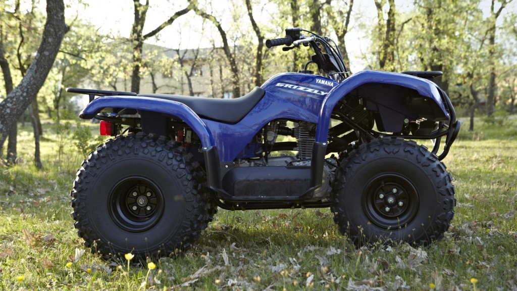 Conquer The Trails Unlocking The Untamed Power Of The Yamaha Grizzly 125ccfeed