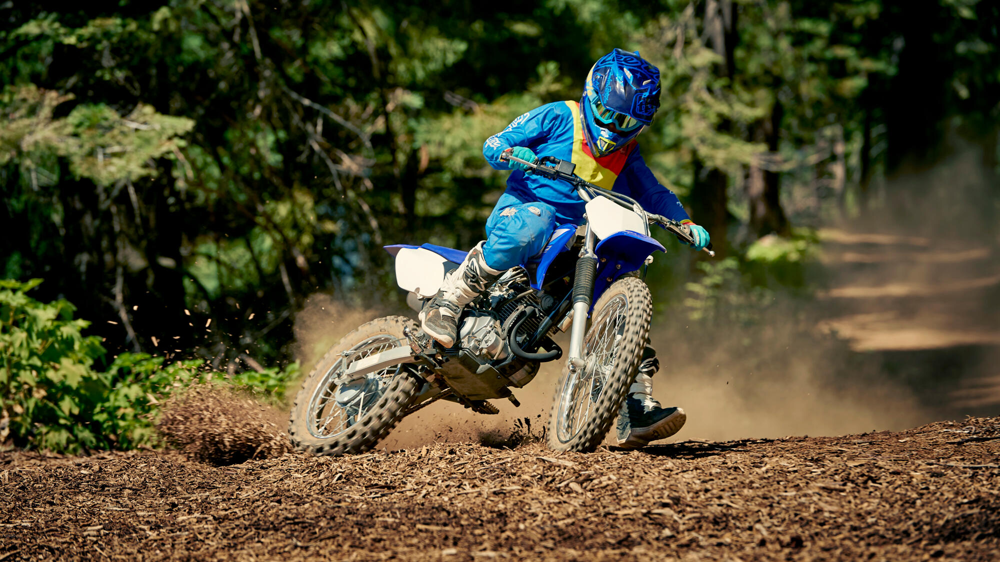 Yamaha TTR-125LWE
